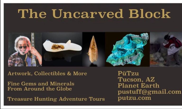 Interactive Guide to AZ TPT E-Filing – PüTzu's World